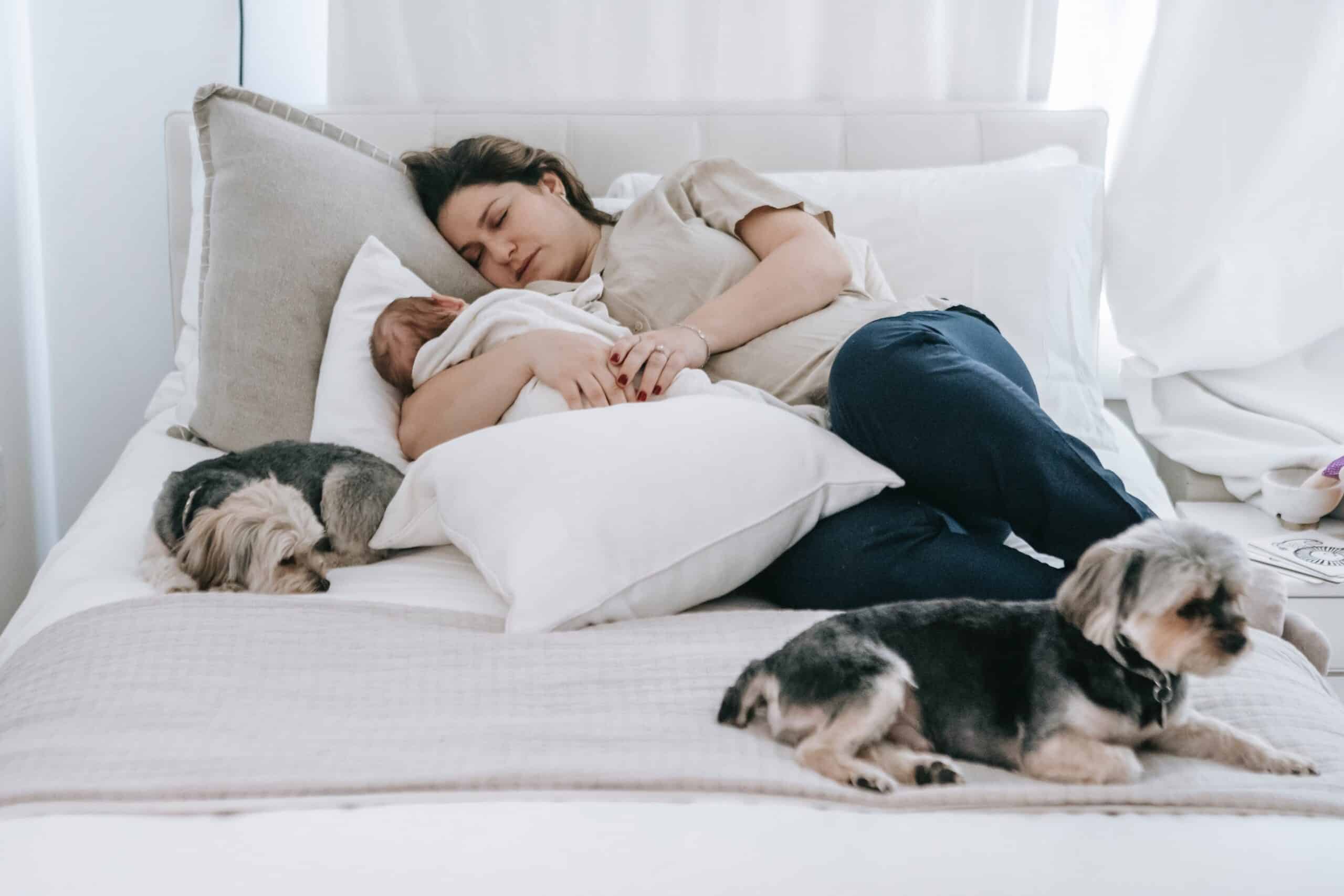 Dog Obsessed With A Newborn Baby: Adorable Or Worrisome?